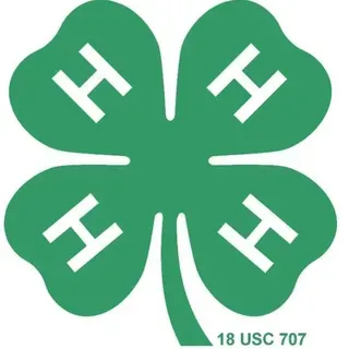 4HGCR13/4H034: My Intermediate 4-H Project Report