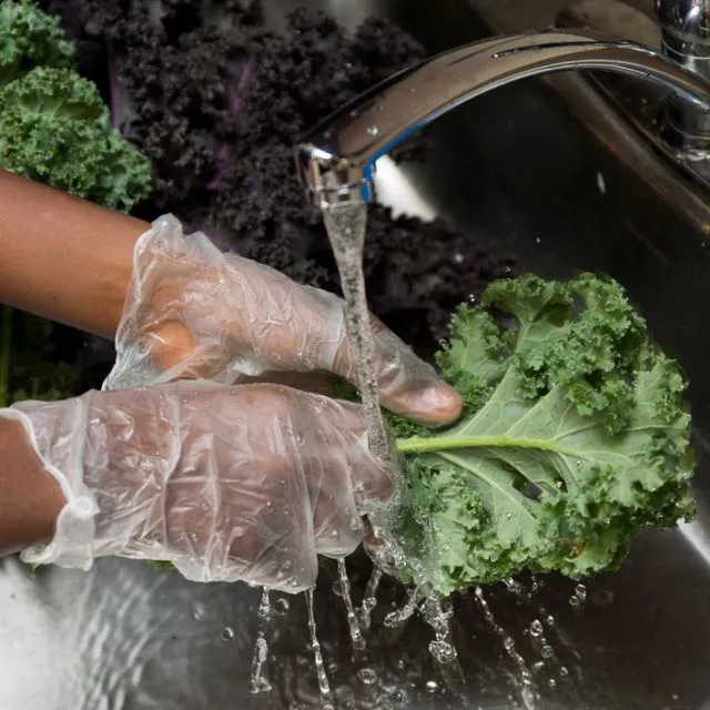 Ask IFAS: Topic - Cleaning