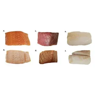 FSHN23-4/FS454: Fish Fillet: White Versus Red, Structure and ...