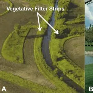 SL432/SS646: Vegetative Filter Strips—A Best Management Practice for ...